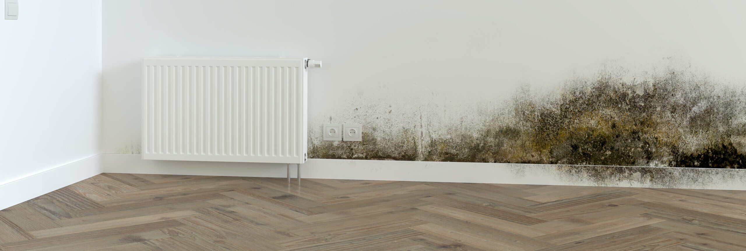 Mold Remediation in Annandale, MN | CJ Restoration